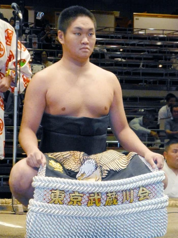 Himekatsuyama Yosuke | Sumowrestling Wiki | Fandom