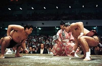 Yutakayama Hiromitsu | Sumowrestling Wiki | Fandom