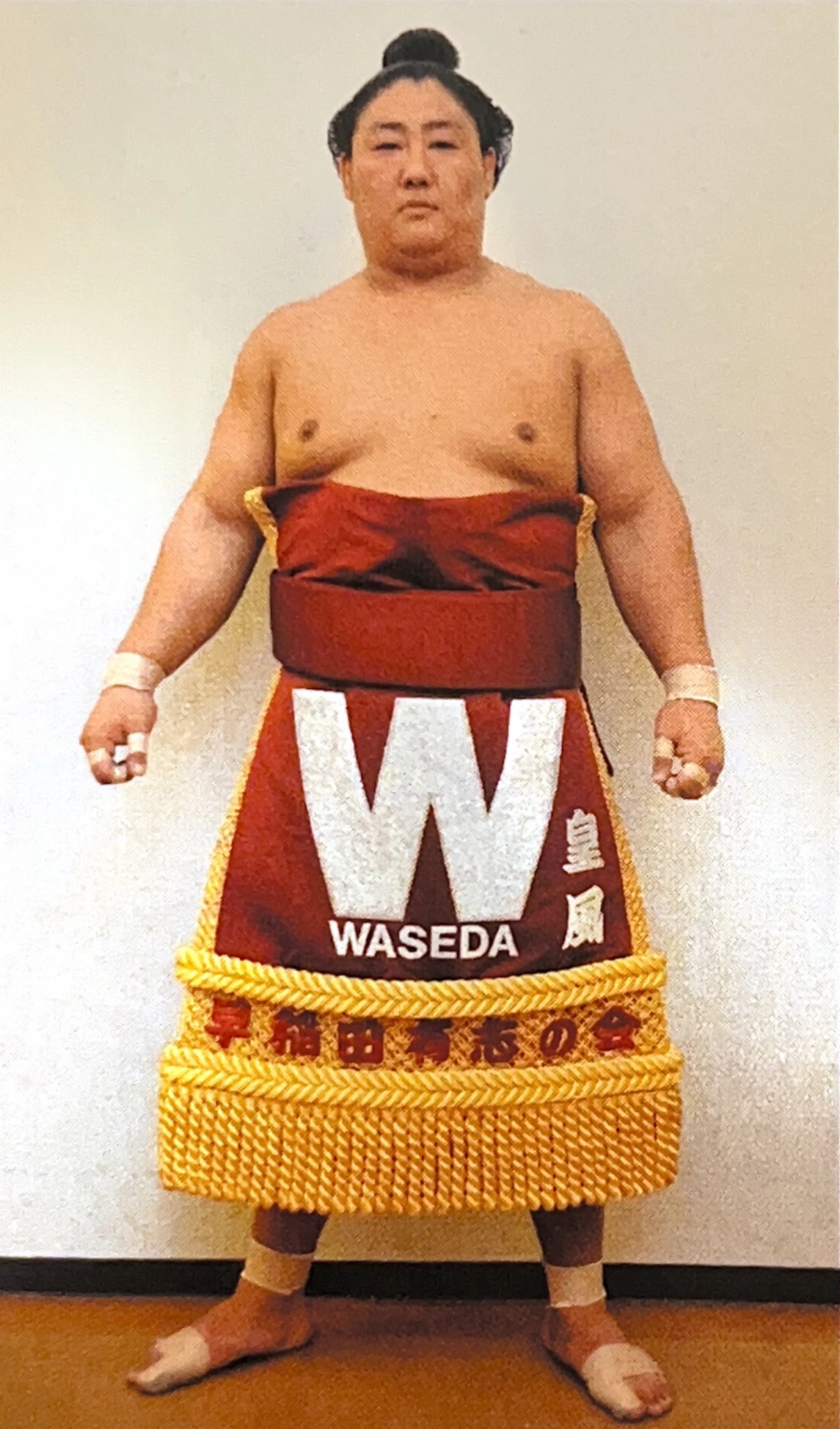 Kimikaze Toshiji | Sumowrestling Wiki | Fandom