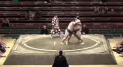 Mitotsukasa Toshihiro | Sumowrestling Wiki | Fandom