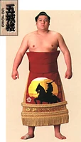Gojoro Katsuhiro | Sumowrestling Wiki | Fandom