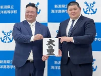 Onosato Daiki | Sumowrestling Wiki | Fandom