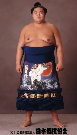 Tochinonada Taiichi | Sumowrestling Wiki | Fandom
