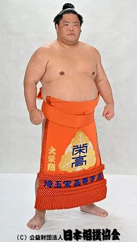Daieisho Hayato | Sumowrestling Wiki | Fandom