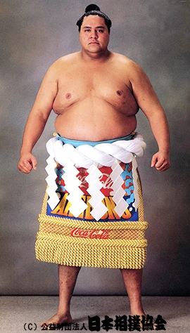 Category:MMA Fighters | Sumowrestling Wiki | Fandom