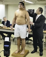 Musashikuni Mamu | Sumowrestling Wiki | Fandom