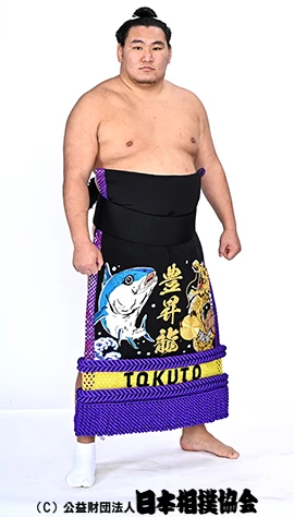 Hoshoryu Tomokatsu | Sumowrestling Wiki | Fandom