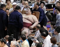 Yamamotoyama Ryuta | Sumowrestling Wiki | Fandom