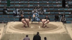 Kansei Akimichi | Sumowrestling Wiki | Fandom