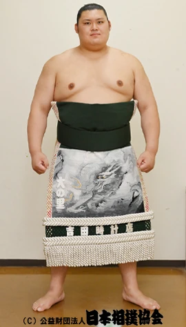 Onosato Daiki | Sumowrestling Wiki | Fandom