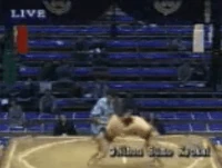 Hayasegawa Shuichi | Sumowrestling Wiki | Fandom