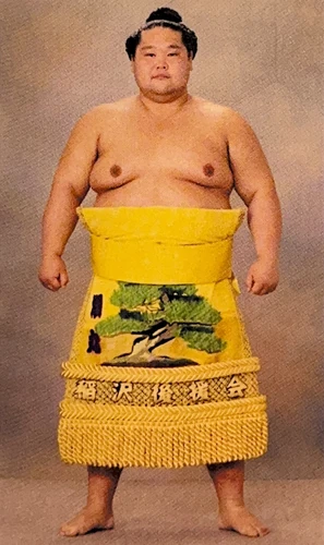 Ushiomaru Motoyasu | Sumowrestling Wiki | Fandom
