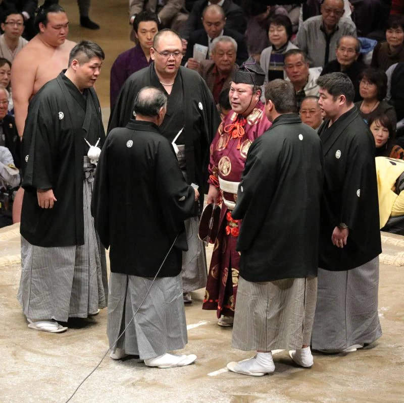 Shimpan | Sumowrestling Wiki | Fandom