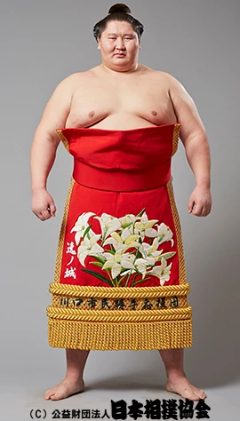 Ichinojo Takashi | Sumowrestling Wiki | Fandom