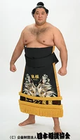 Roga Tokiyoshi | Sumowrestling Wiki | Fandom