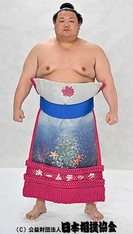 Churanoumi Yoshihisa | Sumowrestling Wiki | Fandom