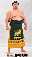 Shodai Naoya | Sumowrestling Wiki | Fandom