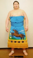 Ichinojo Takashi | Sumowrestling Wiki | Fandom