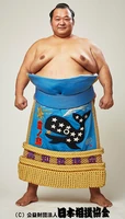 Toyonoshima Daiki | Sumowrestling Wiki | Fandom