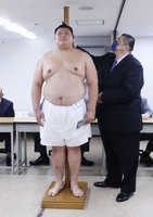 Onosato Daiki | Sumowrestling Wiki | Fandom