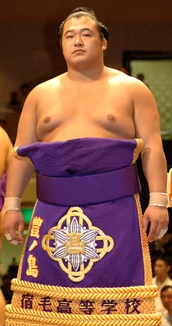 Toyonoshima Daiki | Sumowrestling Wiki | Fandom