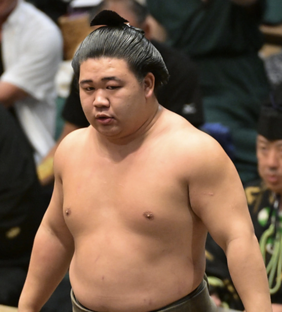 Wakaikari Seigo | Sumowrestling Wiki | Fandom