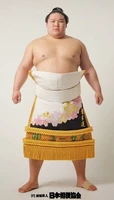 Goeido Gotaro | Sumowrestling Wiki | Fandom
