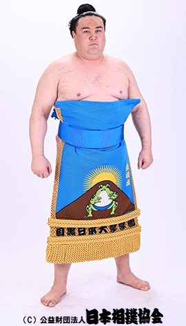 Kinbozan Haruki | Sumowrestling Wiki | Fandom