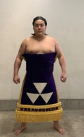 Arauma Toru | Sumowrestling Wiki | Fandom