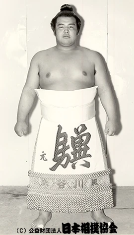 Daiju Hisateru | Sumowrestling Wiki | Fandom