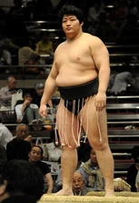 Endo Shota | Sumowrestling Wiki | Fandom