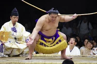 Kotootori Yoshifumi | Sumowrestling Wiki | Fandom