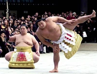 Akinoshima Katsumi | Sumowrestling Wiki | Fandom