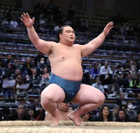 Shirokuma Yuta | Sumowrestling Wiki | Fandom
