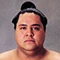 List of Yokozuna | Sumowrestling Wiki | Fandom
