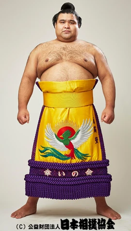 Takayasu Akira | Sumowrestling Wiki | Fandom