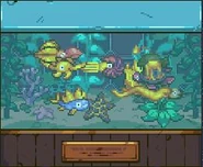 Museum | Sun Haven Wiki | Fandom