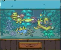 Museum/Summer Fish Tank | Sun Haven Wiki | Fandom