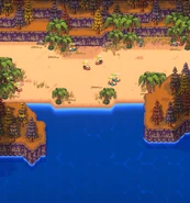 Beach | Sun Haven Wiki | Fandom