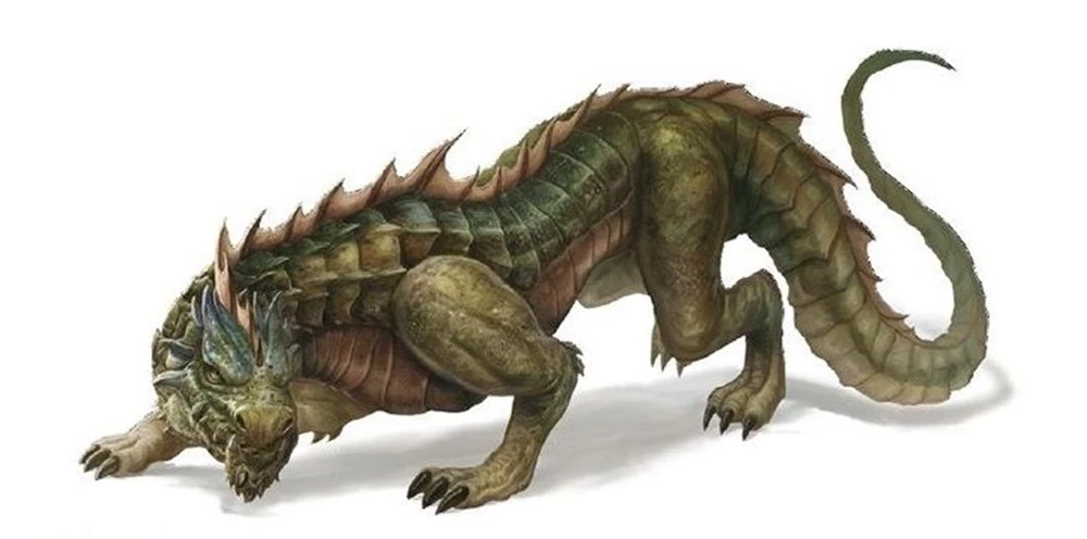 Drake, Forest | Sunaria Wiki | Fandom