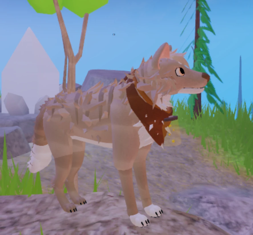 Sunset | Sundown Island Wiki | Fandom