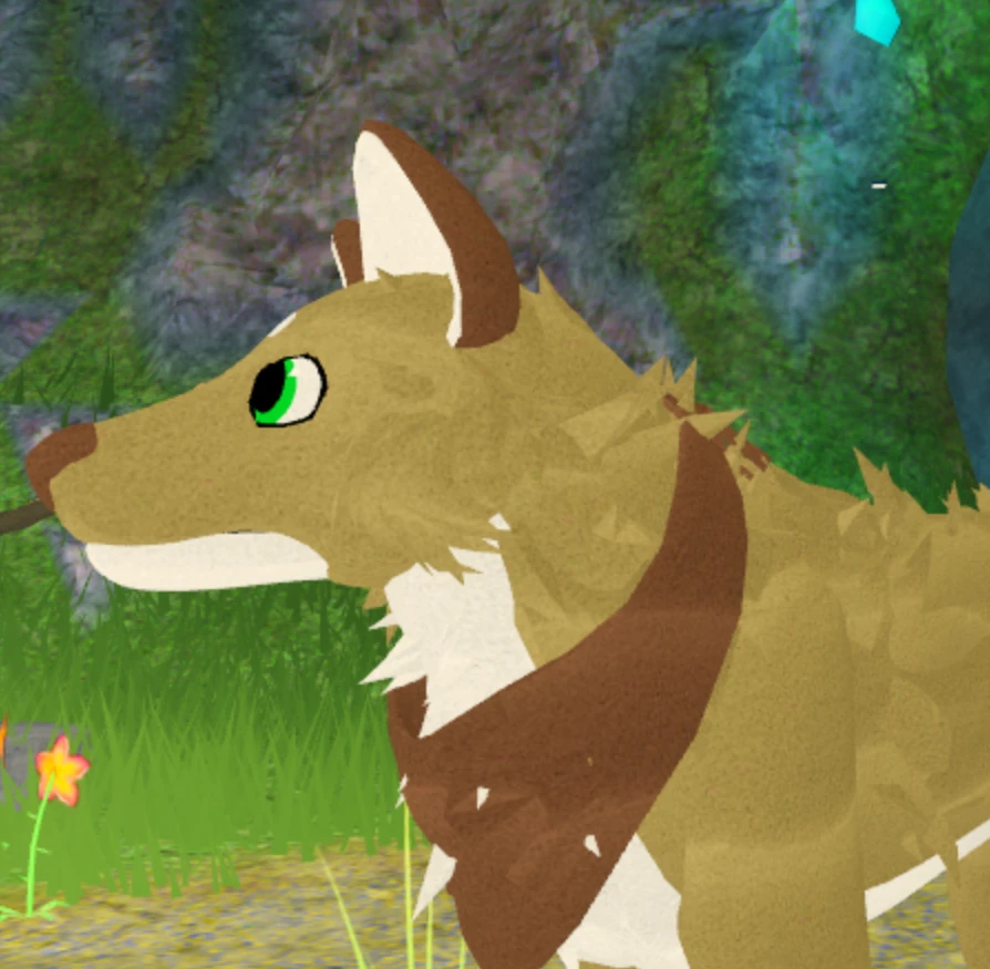 Accessories | Sundown Island Wiki | Fandom