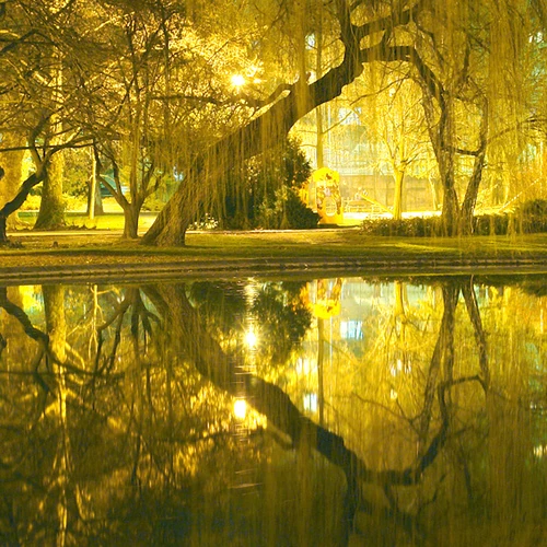 Caravan Court | Sunguard Wikia | Fandom