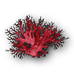 Red Algae | Sunkenland Wiki | Fandom