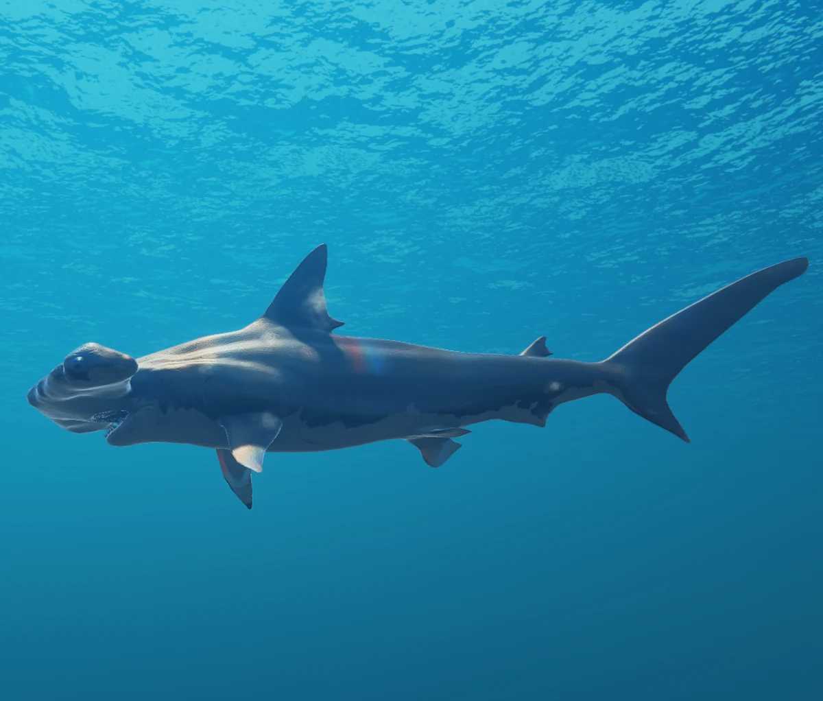 Hammerhai | Sunkenland Wiki | Fandom