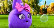 Iris | Sunny Bunnies Wikia | Fandom