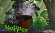 Hopper | Sunny Bunnies Wikia | Fandom