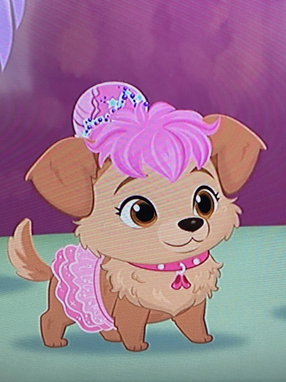 Tutu | Sunny Day Wiki | Fandom