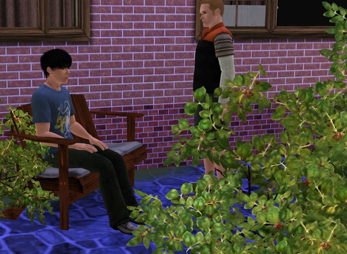 12th November 2021 | Sunsetvalley Wiki | Fandom