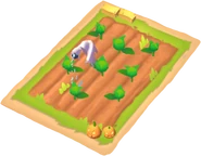 Field | Sunshine Island Wiki | Fandom